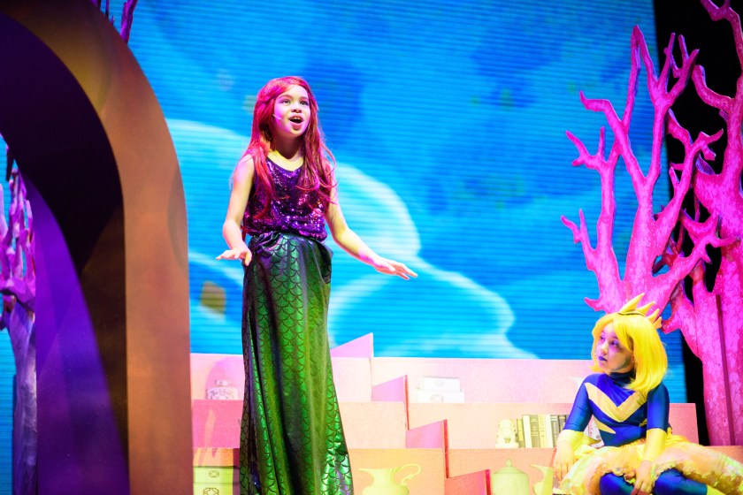 Little Mermaid MR-1801 – Rachel Damon